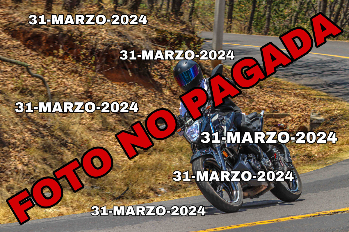 LC 480 — Postimages