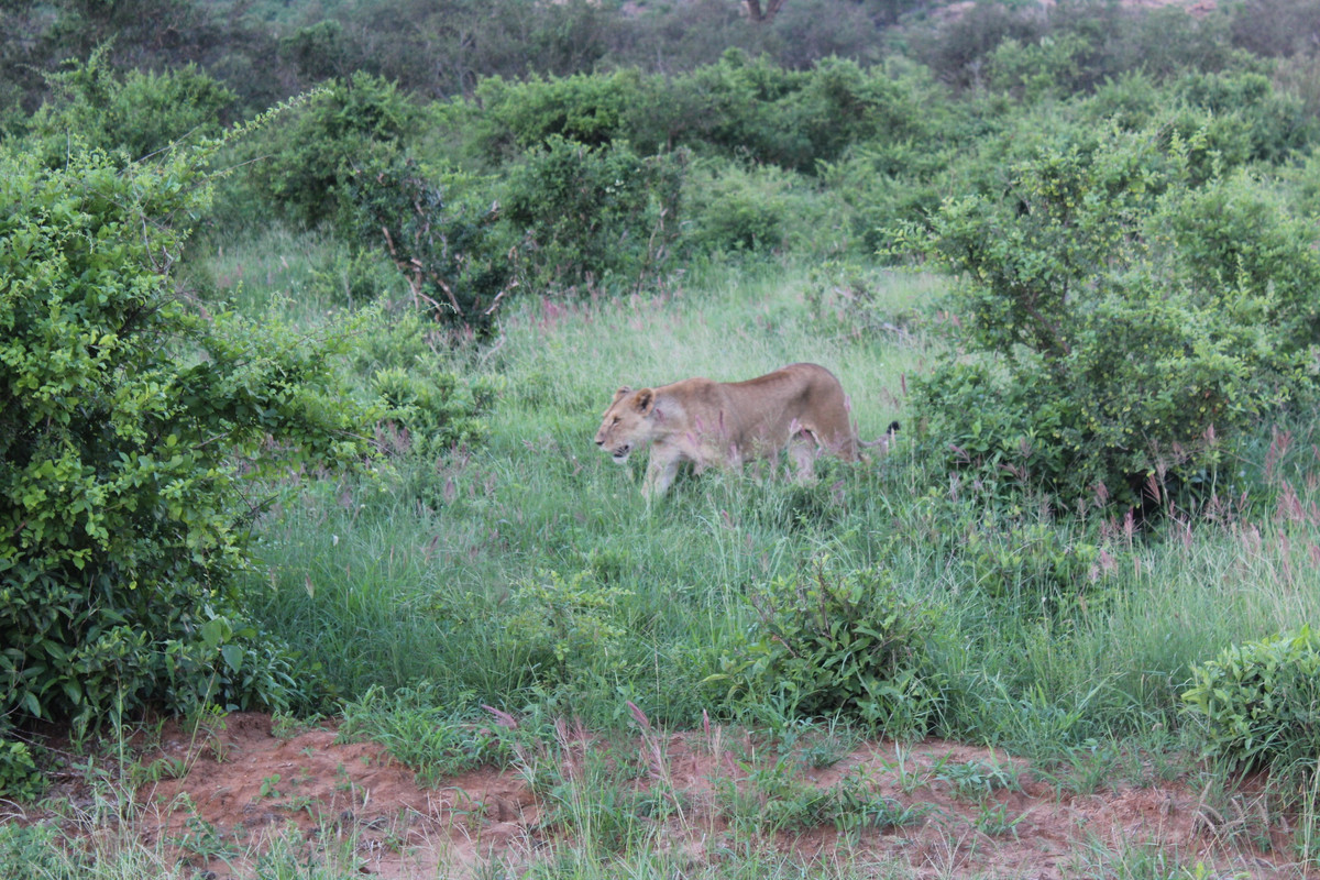 IMG 1273 — Postimages