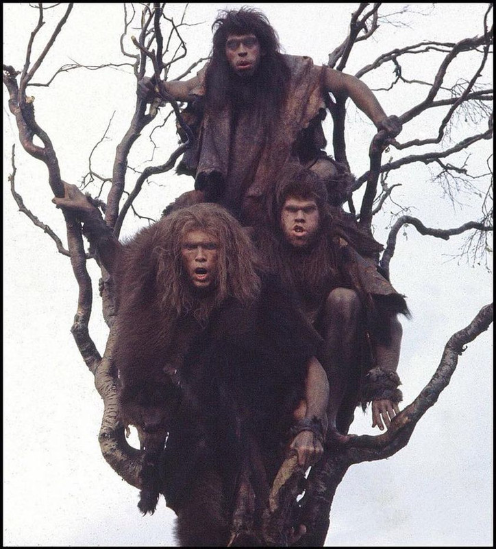 Tree huggers — Postimages