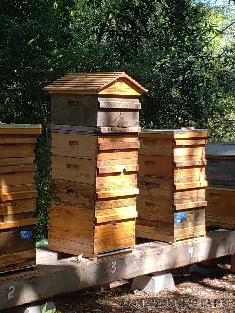 Hive Identification (People and Bees) | Beesource Beekeeping Forums