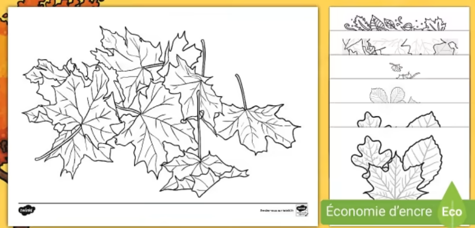 Activités d'automne pour les maternelles - Twinkl