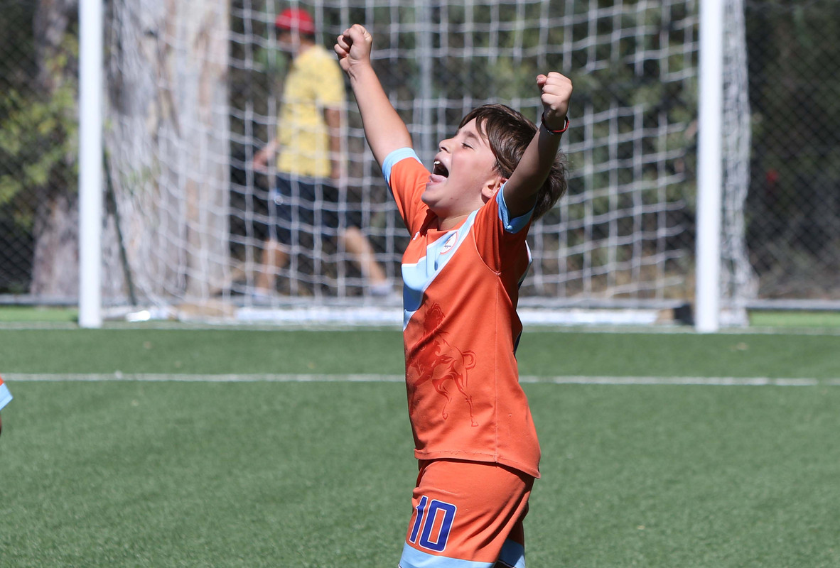 VIK 4371 — Postimages