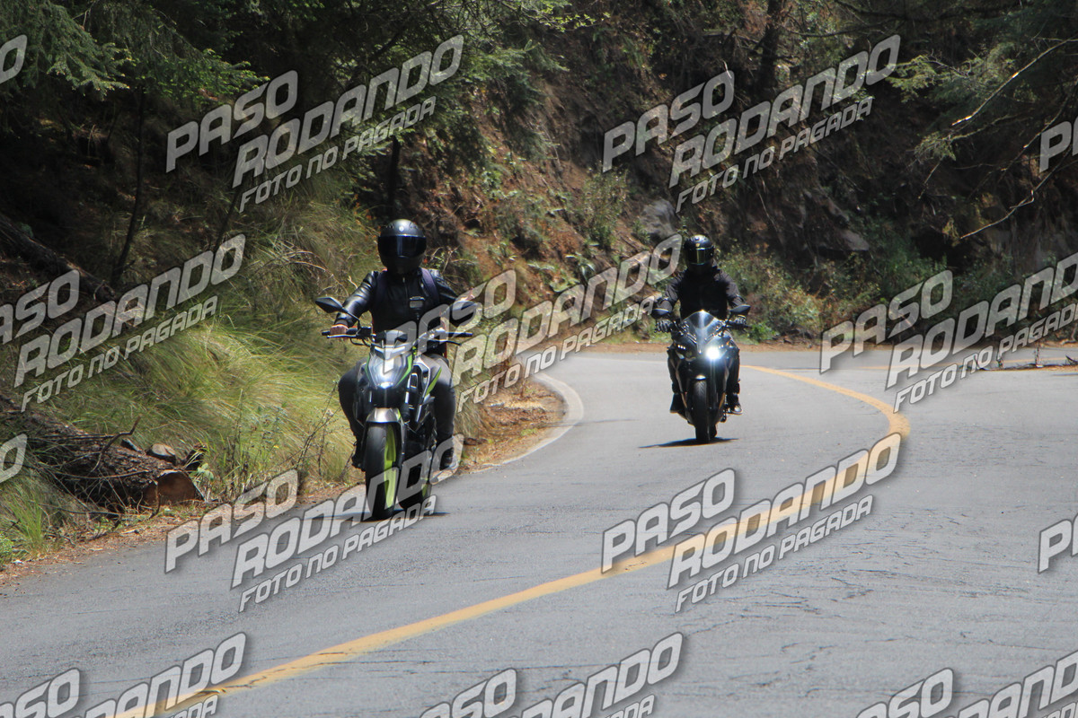 IMG 0768 wm 2230020 watermarked — Postimages