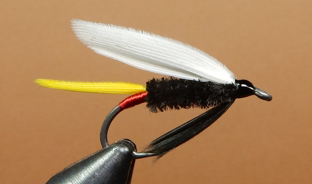 Rio Grande Queen - Fly Tying - Maine Fly Fish