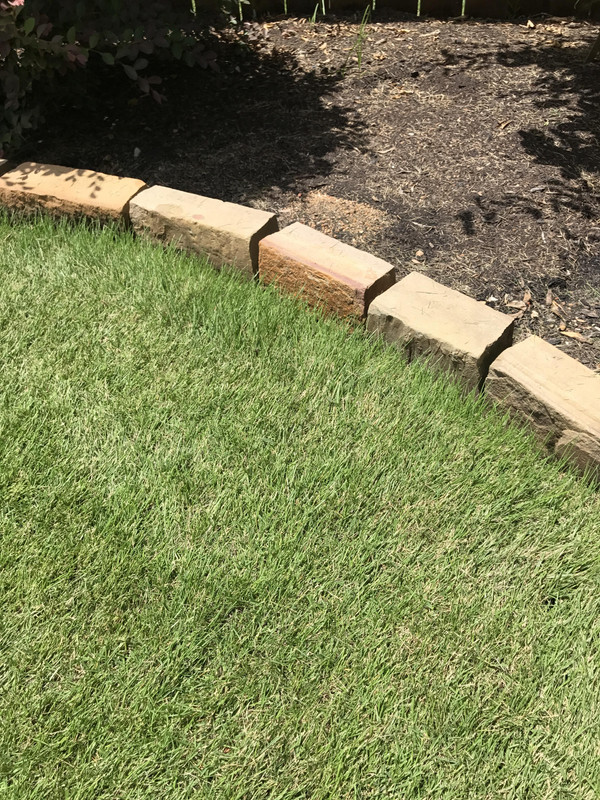 IMG 1340 — Postimages