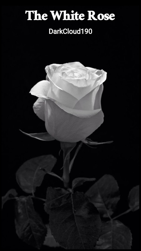 The White Rose - DarkCloud190 - Harry Potter - J. K. Rowling [Archive ...