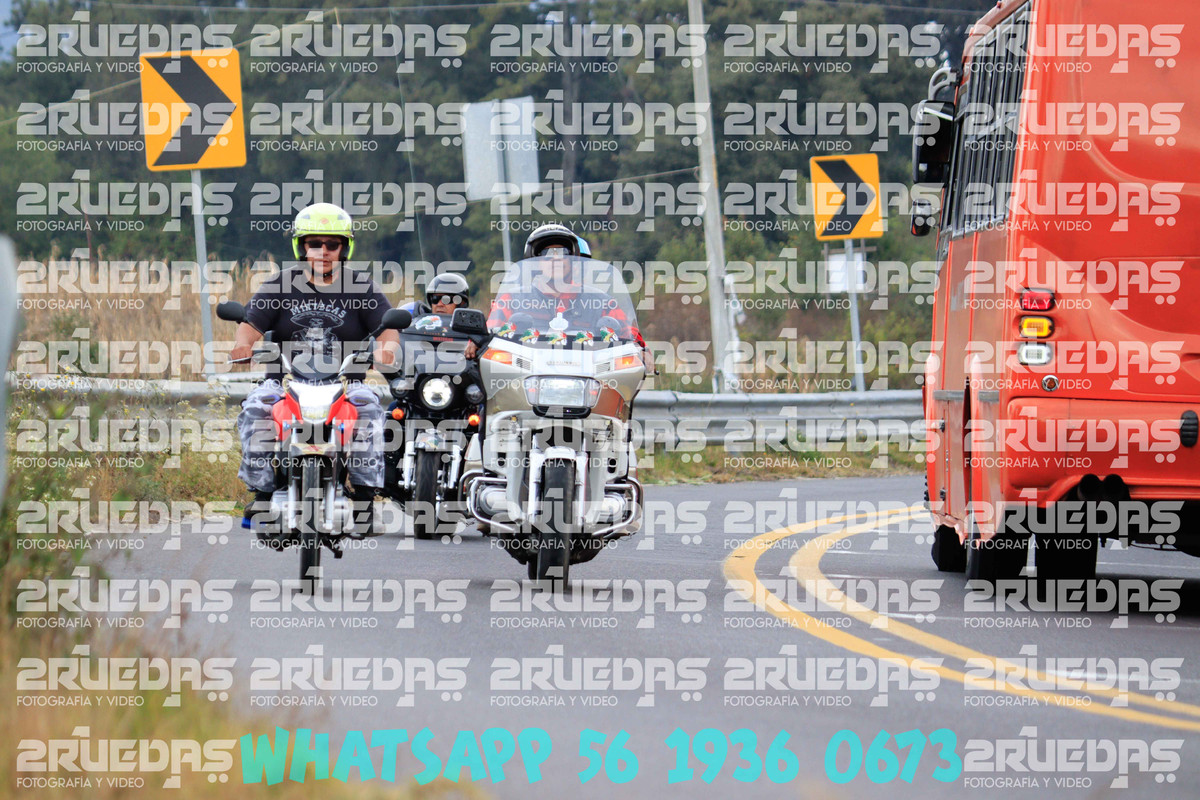 MG 0814 — Postimages