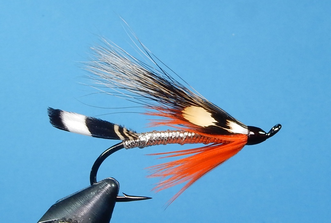 Silver Demon - Fly Tying - Maine Fly Fish