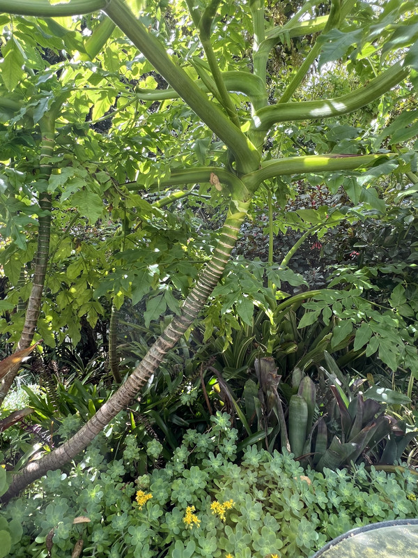 IMG 3353 — Postimages