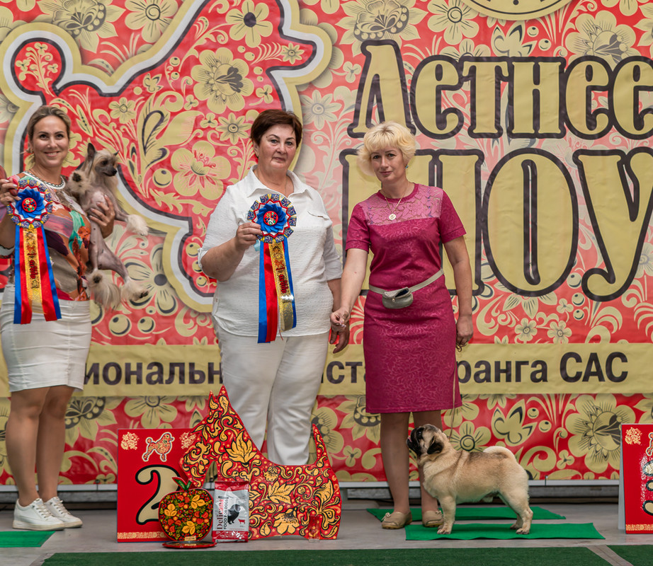 402 CR2 — Postimages