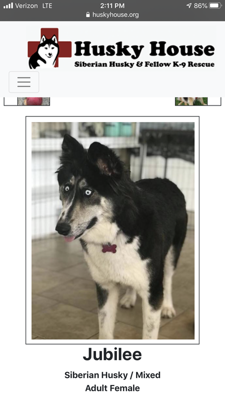 IMG 7964 — Postimages