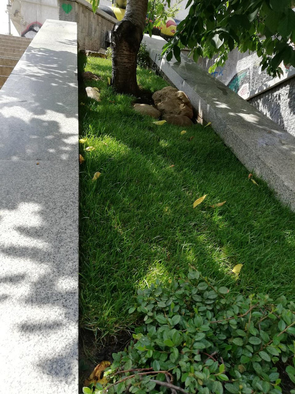 IMG 20180515 122333 — Postimages