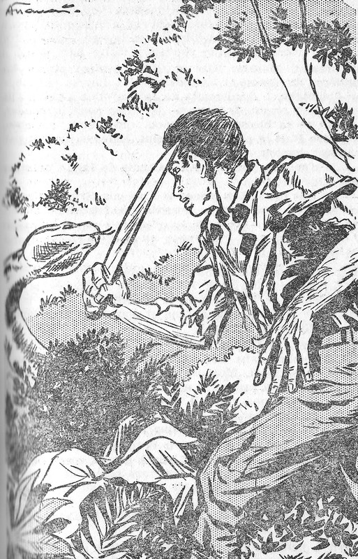 marabout 26 dessin de dino attanasiosur la piste de fawcett 003 ...