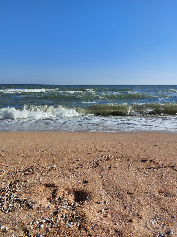 20240625 071751 — Postimages