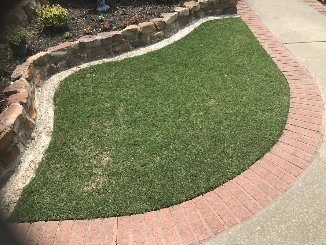 IMG 1100 — Postimages