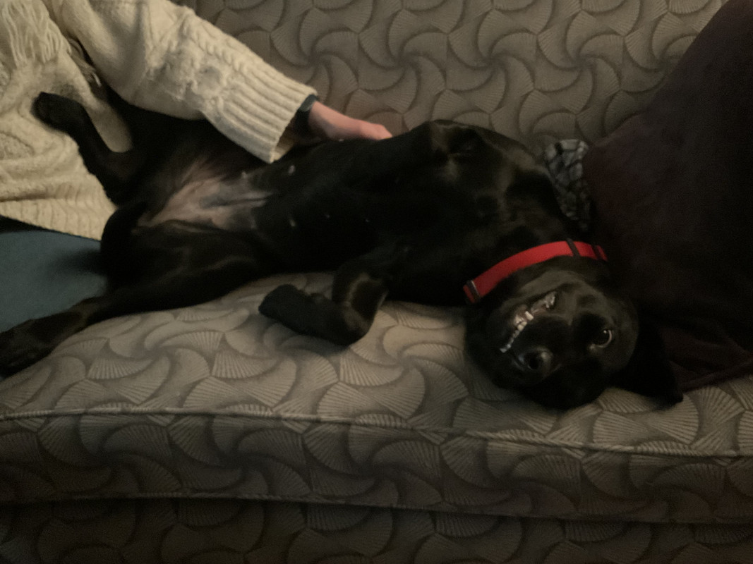 IMG 0649 — Postimages