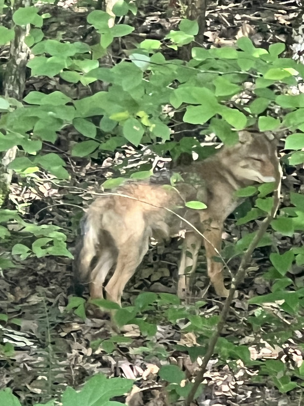 IMG 3156 — Postimages