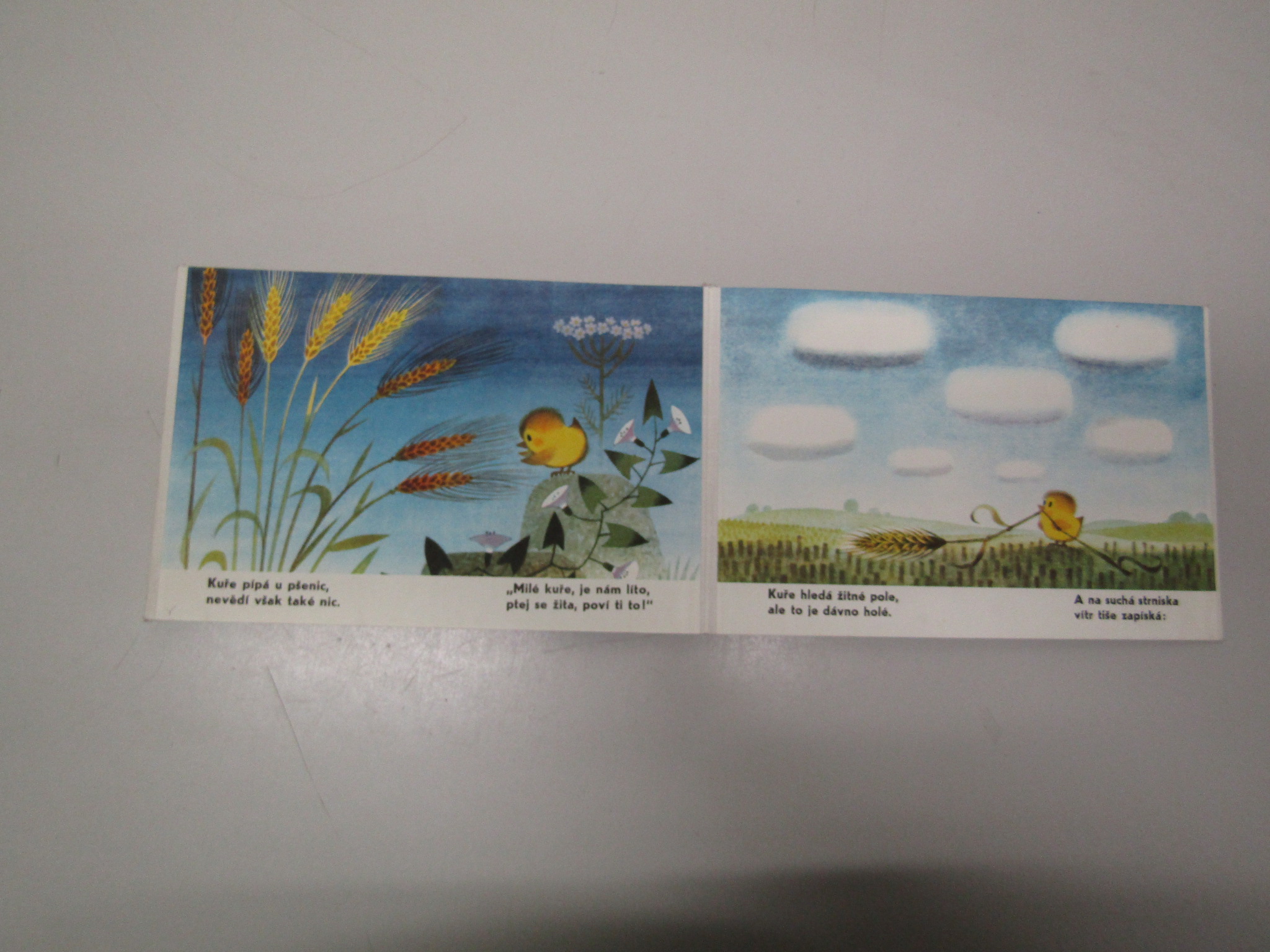 IMG 4369 — Postimages