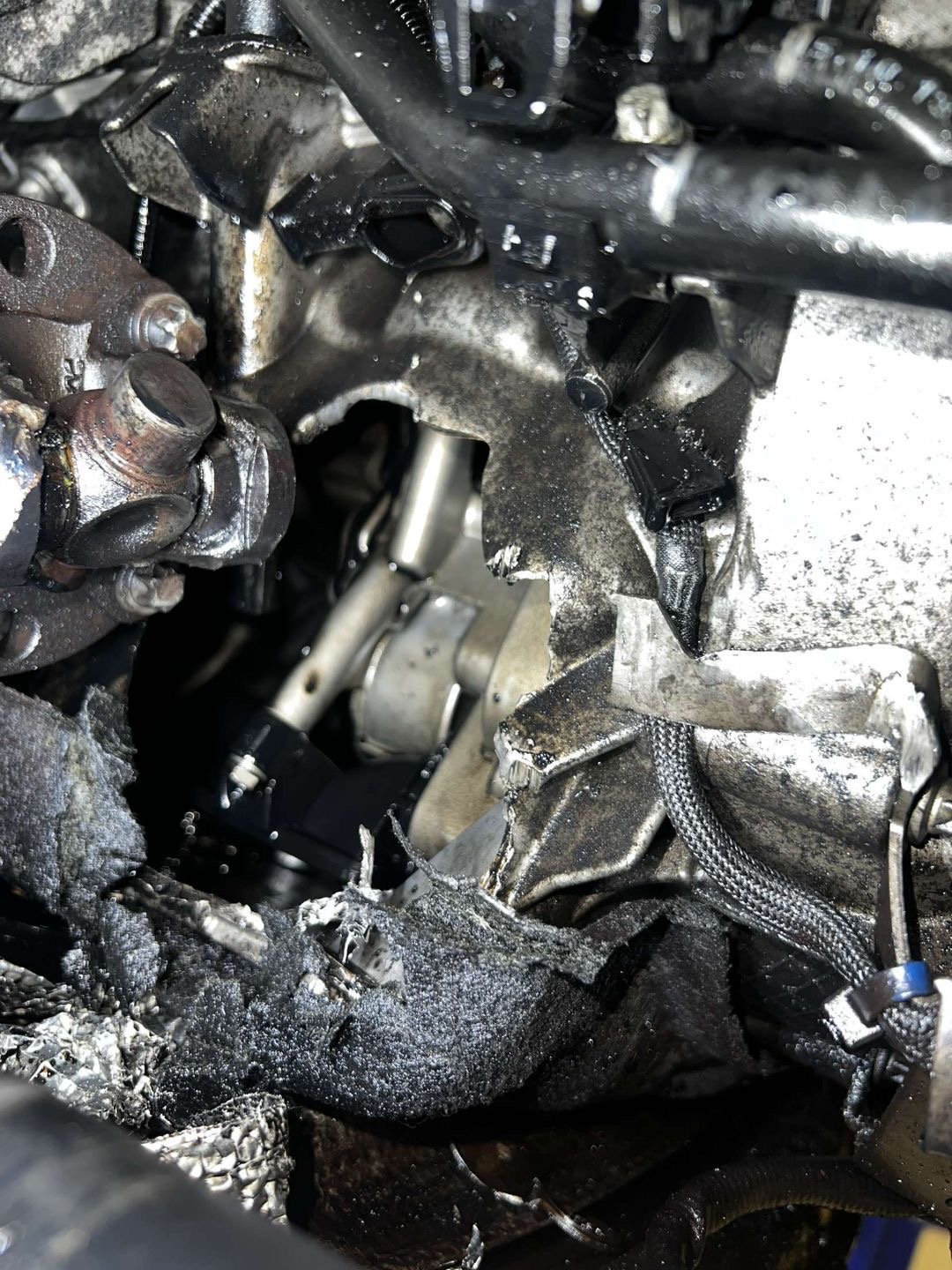 dcb046ac add7 441e 9237 e240eb56cfcb — Postimages