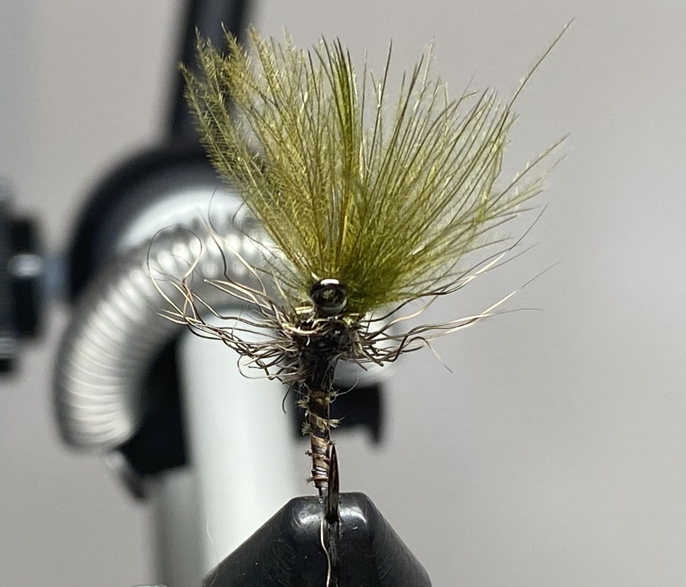 IMG 3016 — Postimages