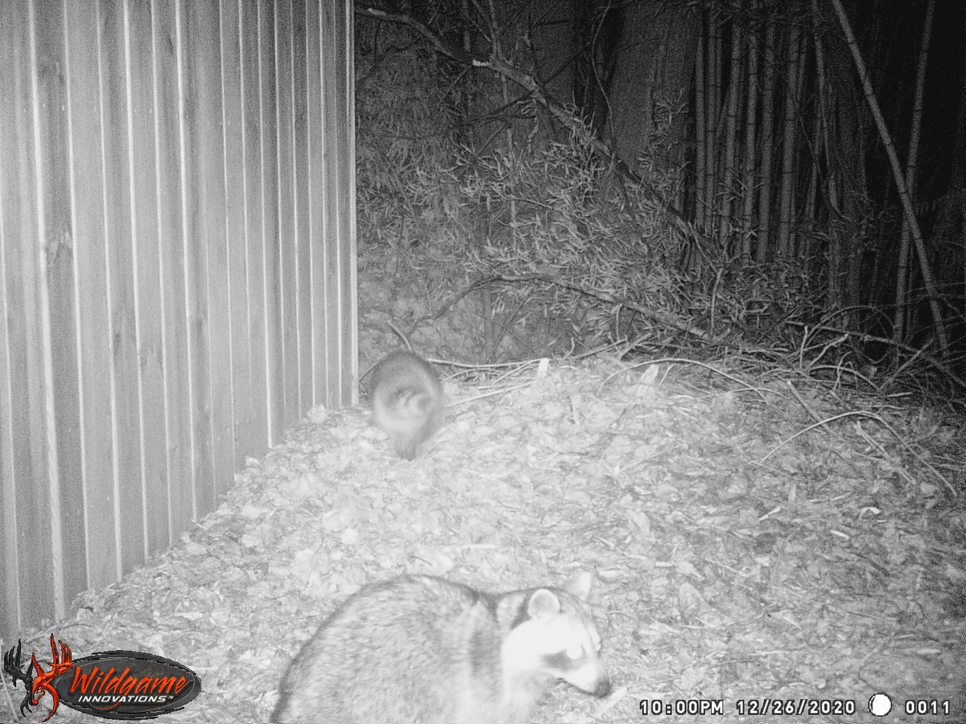 WGI 0011 — Postimages