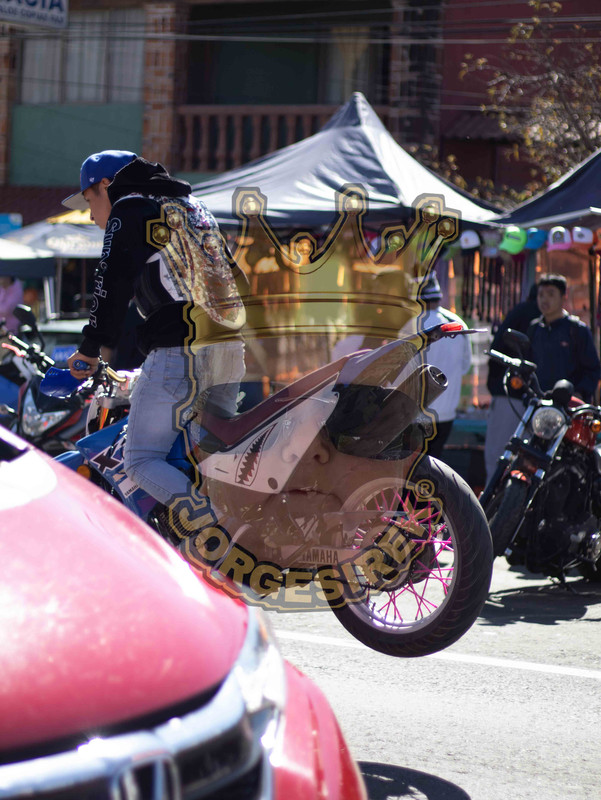 IMG 4555 — Postimages