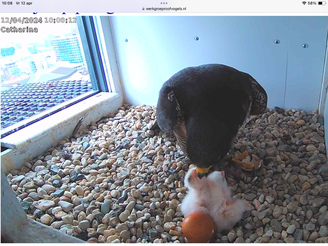 IMG 0072 — Postimages