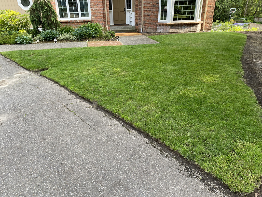 IMG 0528 — Postimages