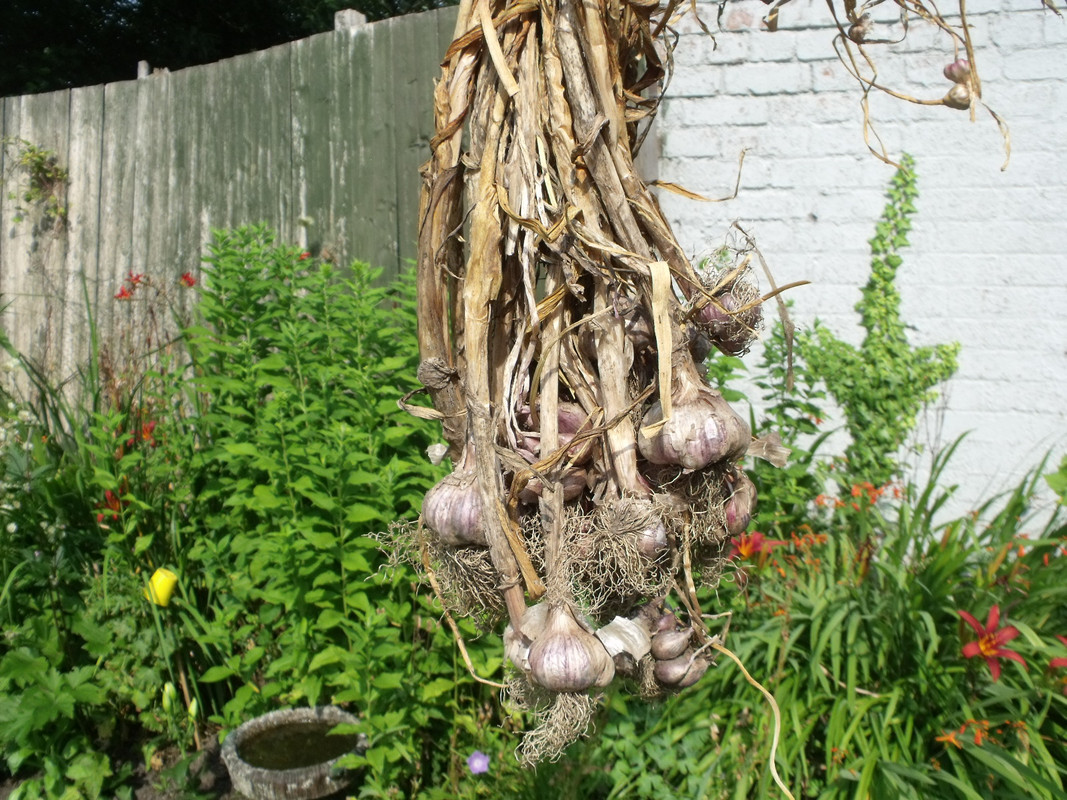 DSCF2869 — Postimages