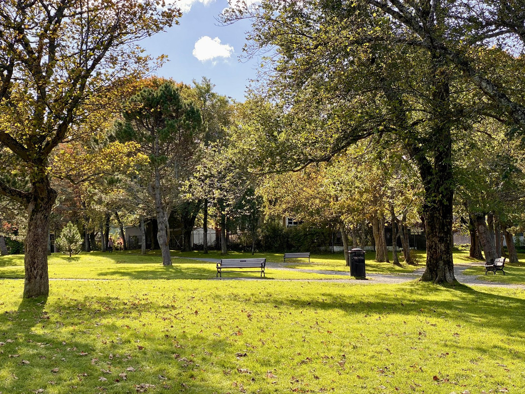 IMG 3968 — Postimages