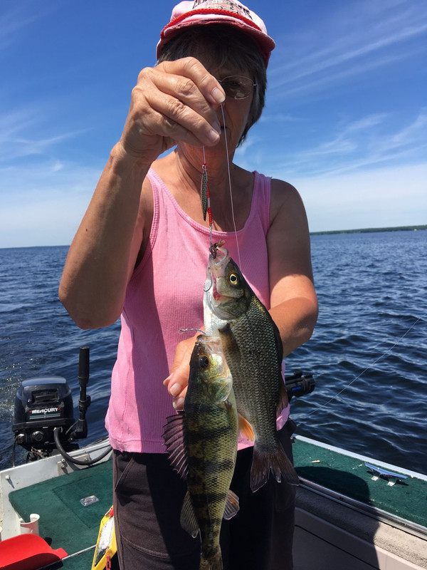 IMG 3719 — Postimages