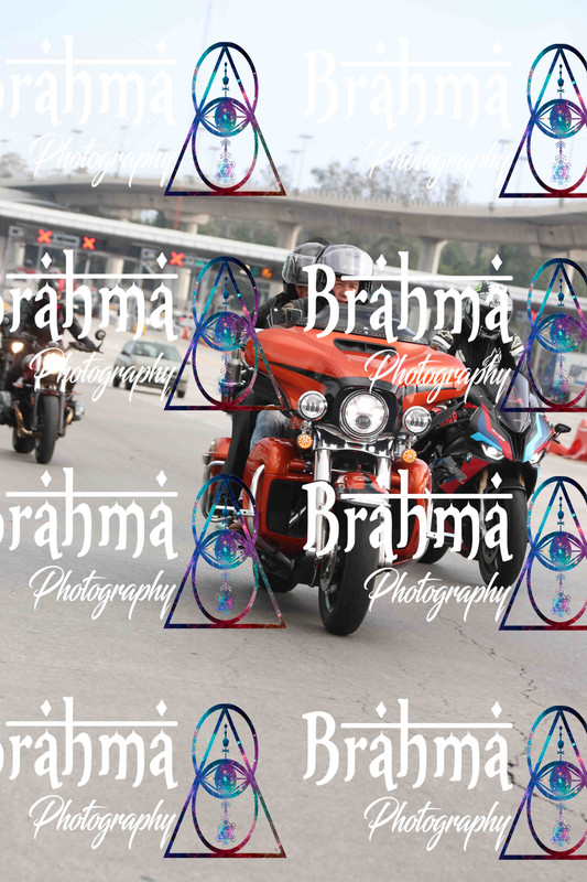 IMG 8445 — Postimages