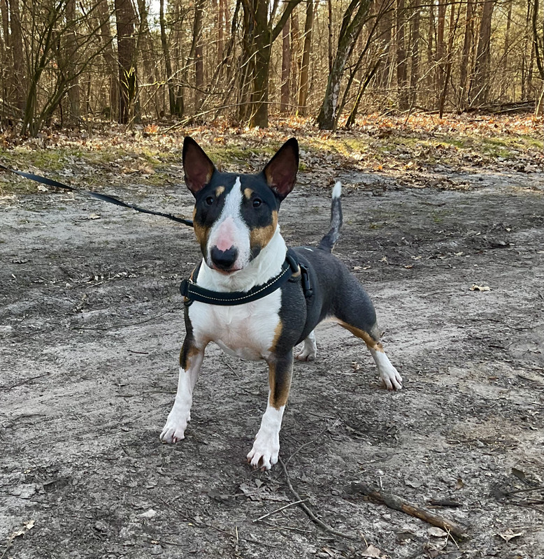 B92 AAF81 9 F12 44 FF A277 516 F5 A8127 EA — Postimages