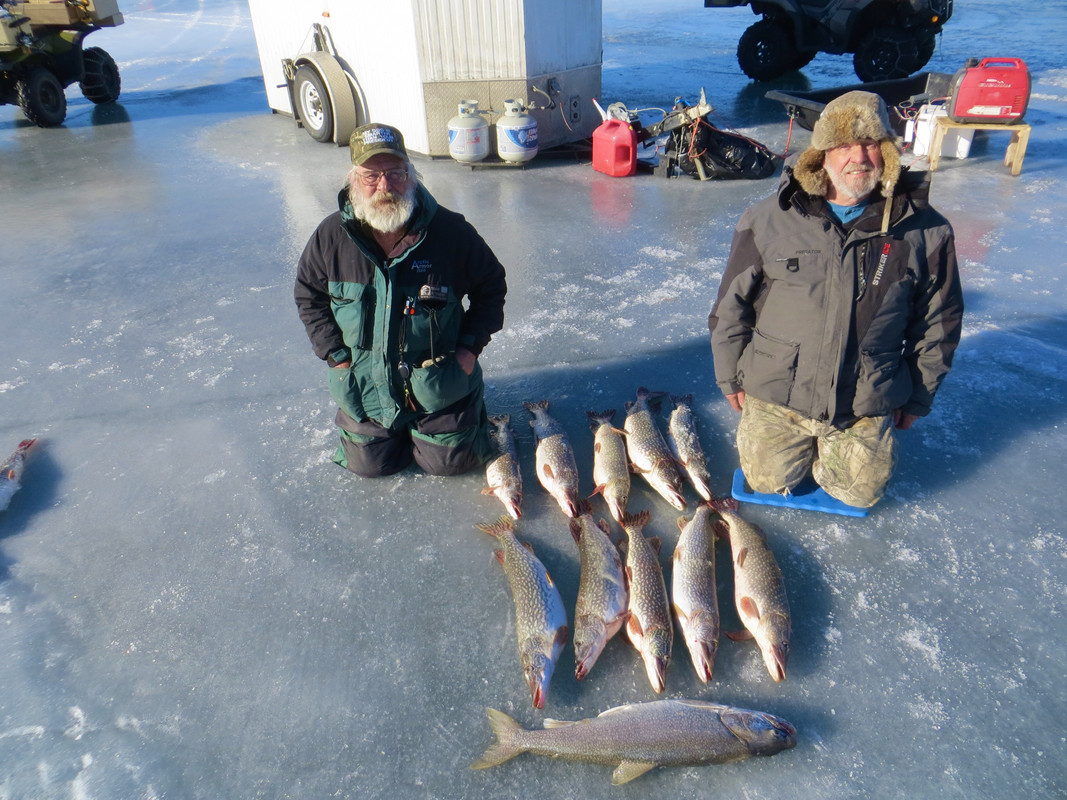 0 C730211 B951 490 E A10 A 7 D77 E4 D69 D9 D 1 201 a — Postimages