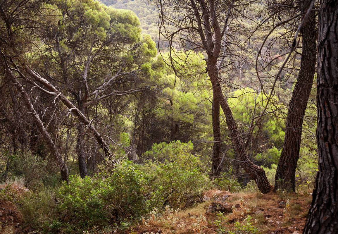 MG 4475 FORO CORRECTA — Postimages