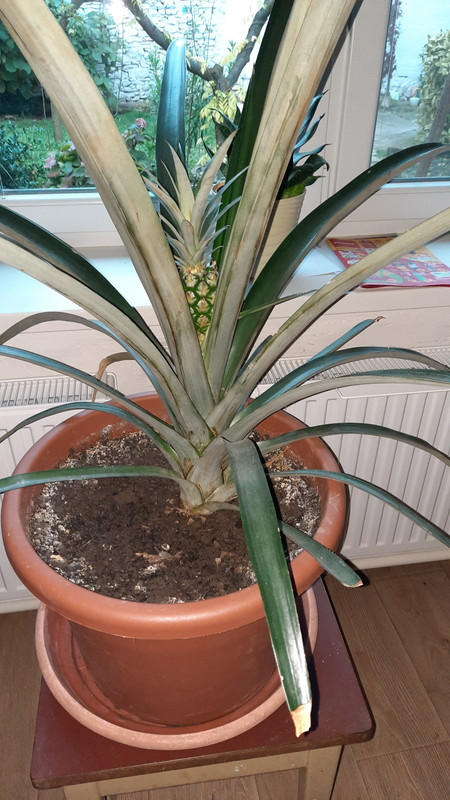 20221117 154041 — Postimages