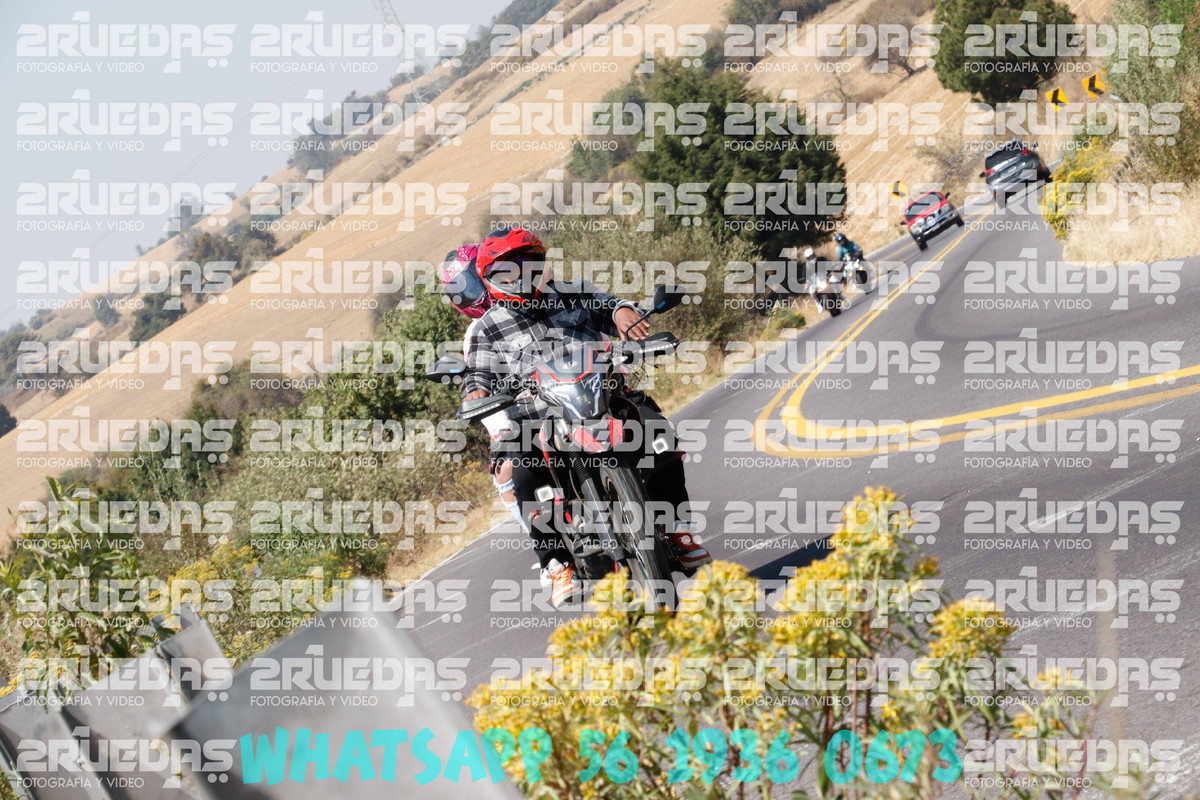 MG 0703 — Postimages