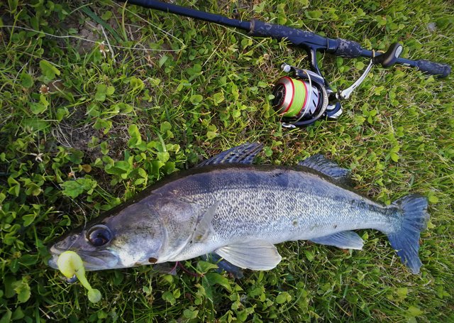 SMUDJ 2021 - Strana 3 - Varaličar.com