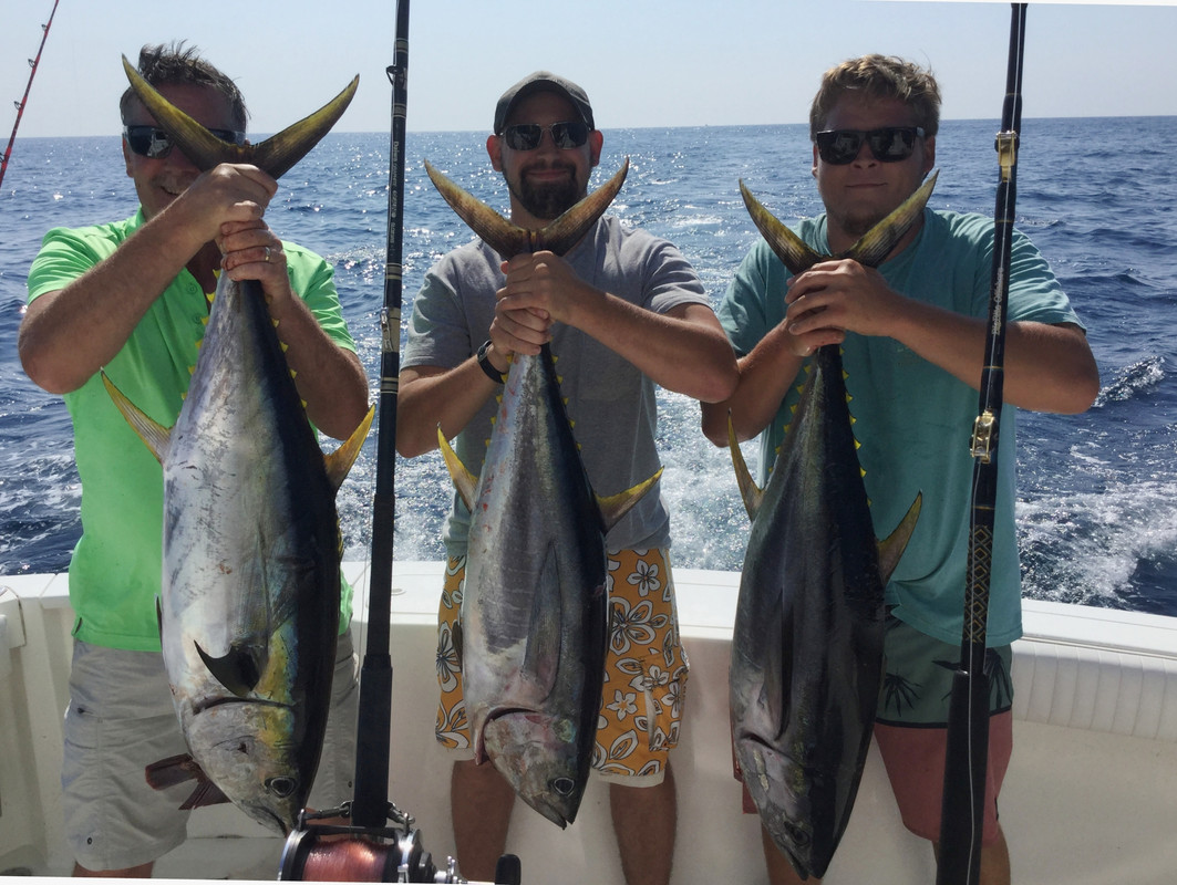 IMG 0902 — Postimages