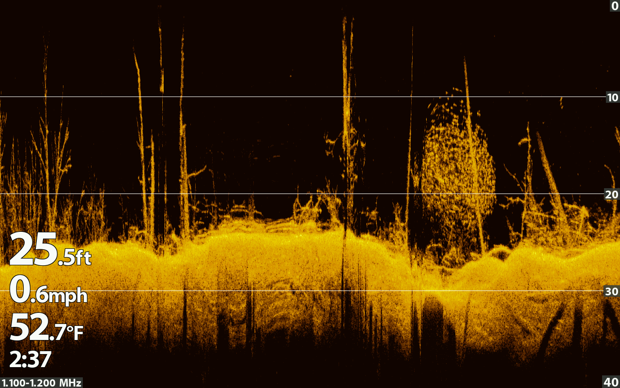 Humminbird down imaging