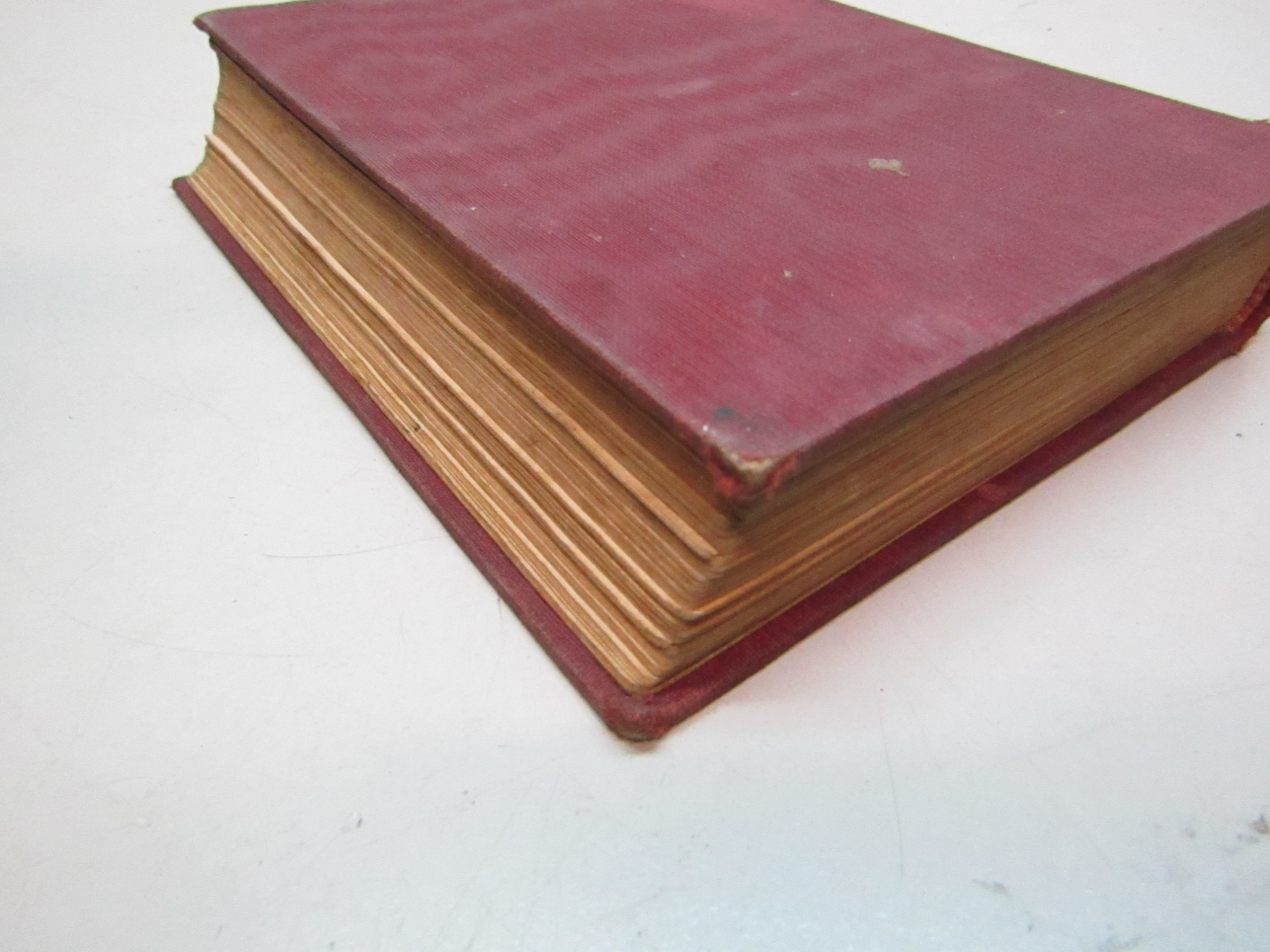 IMG 8921 — Postimages