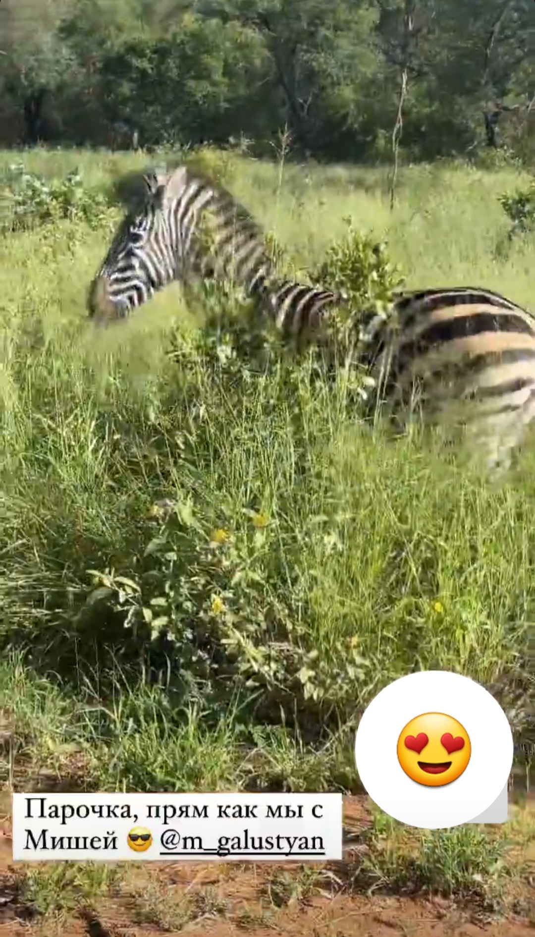 Screenshot 20230220 223916 Instagram — Postimages