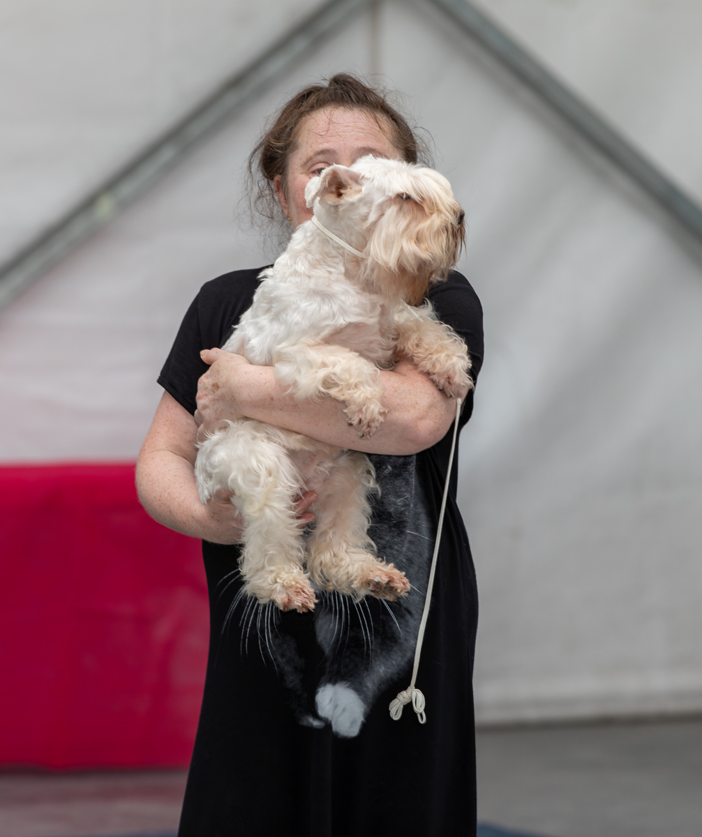 136 CR2 — Postimages