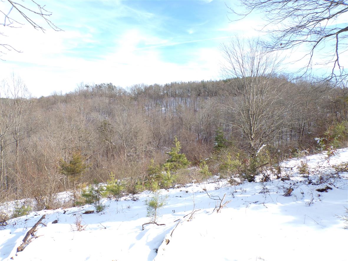 103 1076 — Postimages