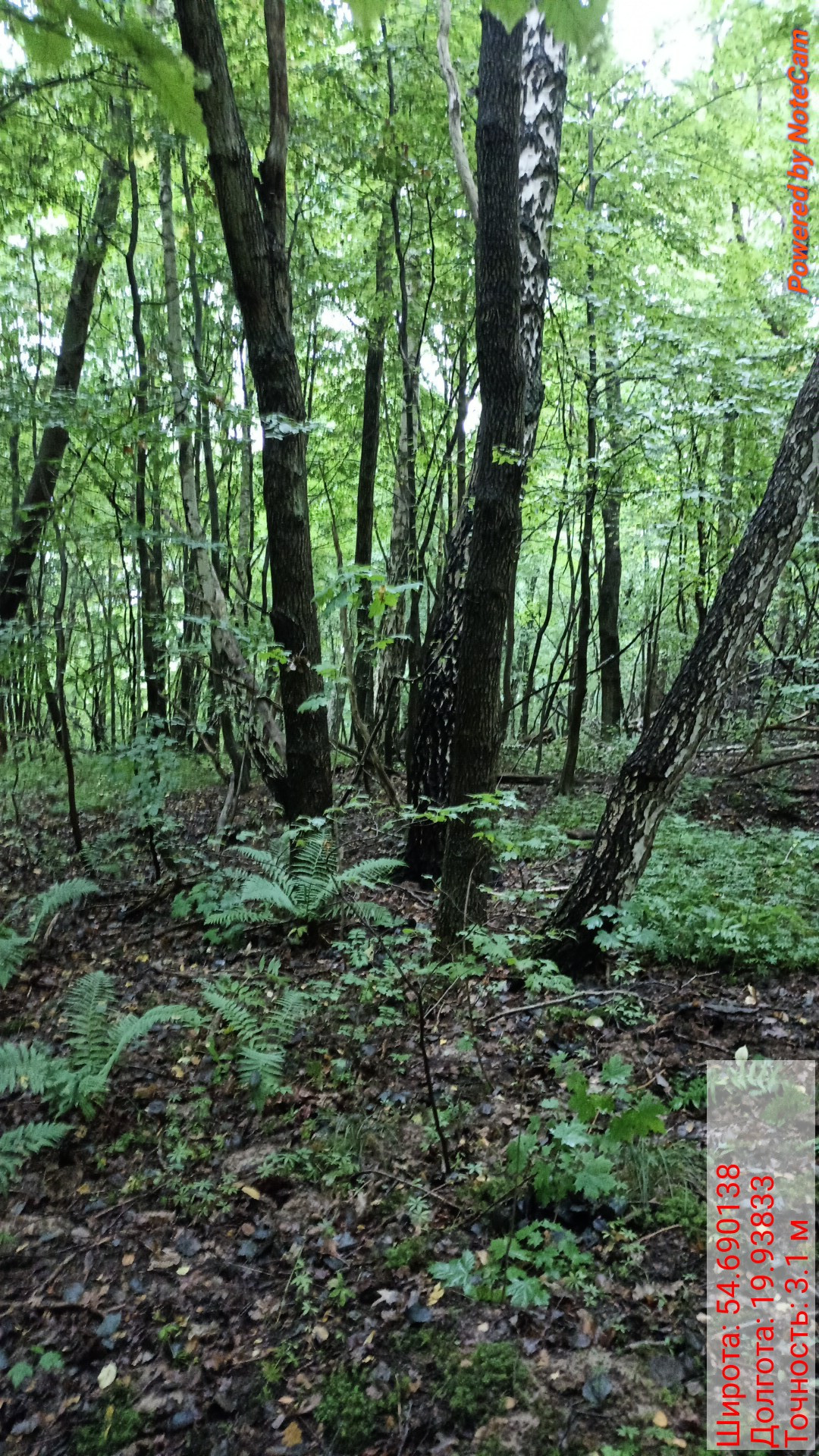 Img 000013643 — Postimages