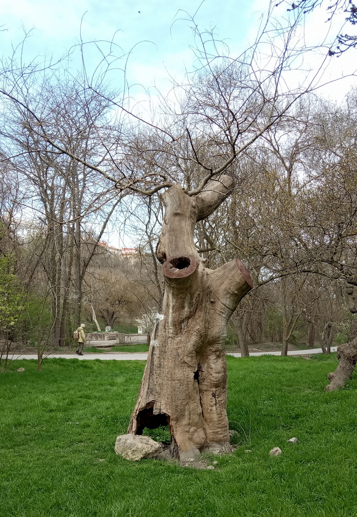 IMG 20230408 121128 — Postimages