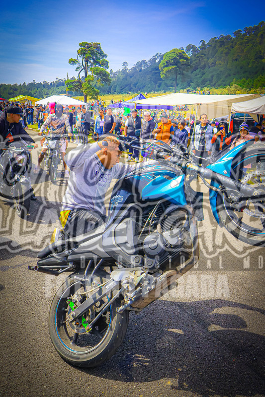 PL2 3034 — Postimages