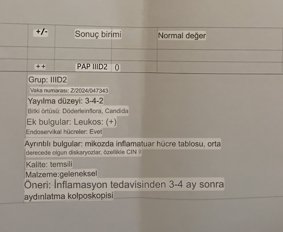 IMG 1031 — Postimages