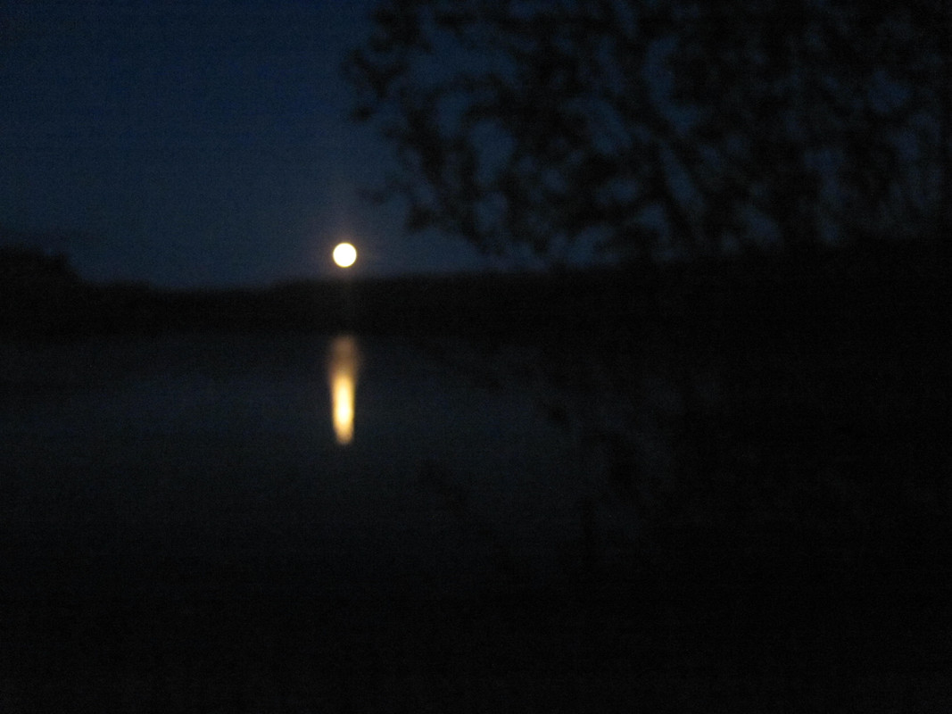 IMG 0512[1] — Postimages