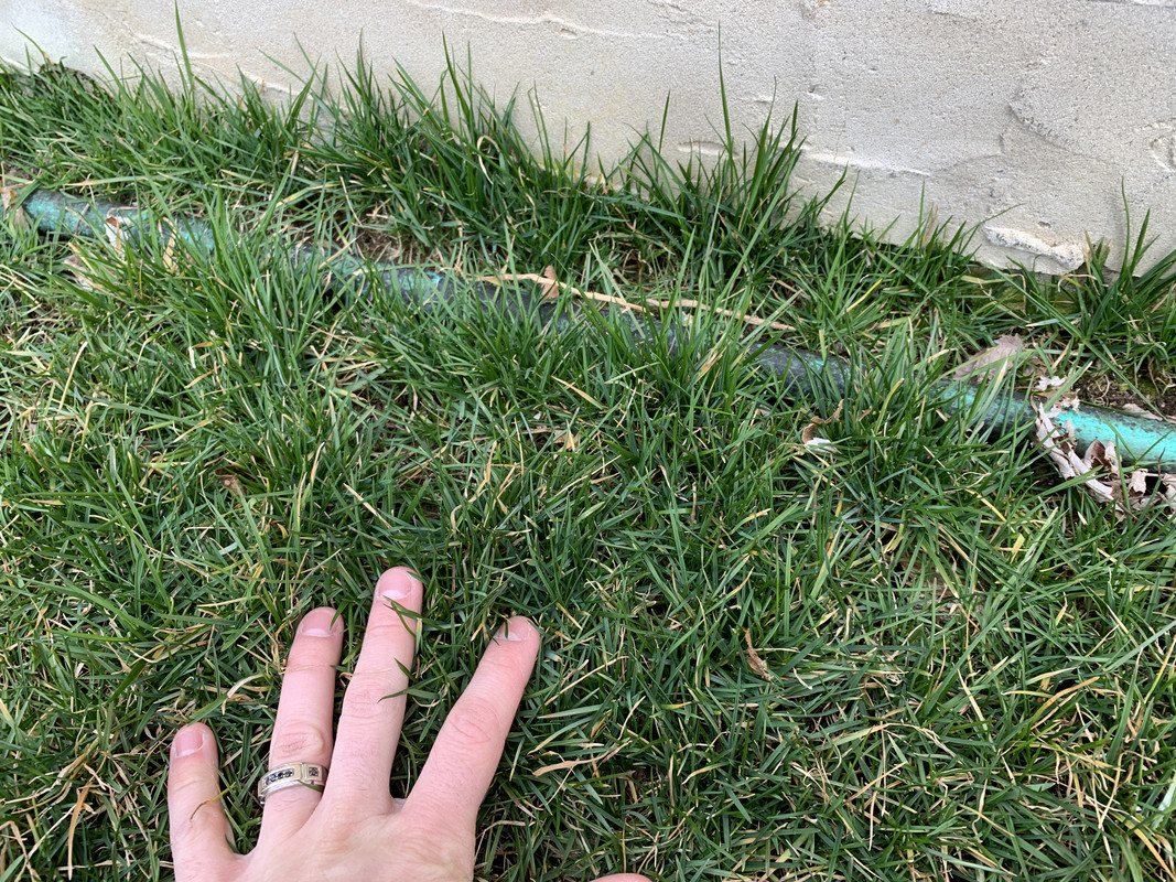 C9 F6 C54 F 8 E2 C 4 FDF AAC9 82 A0 AFC9 CFF5 — Postimages